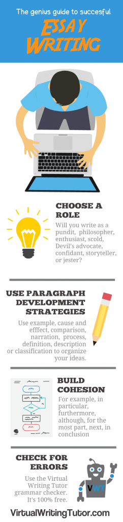 Essay Writing in 9 Easy Steps - Virtual Writing Tutor Blog